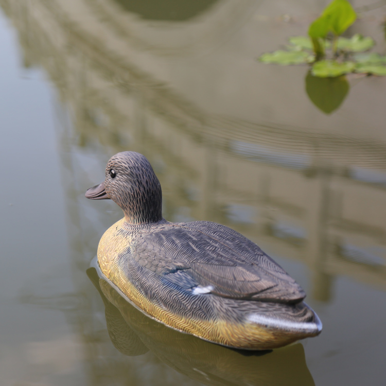 High Strength Blow Molding Plastic Decoys for Bird Quail Hunting - Buy ...