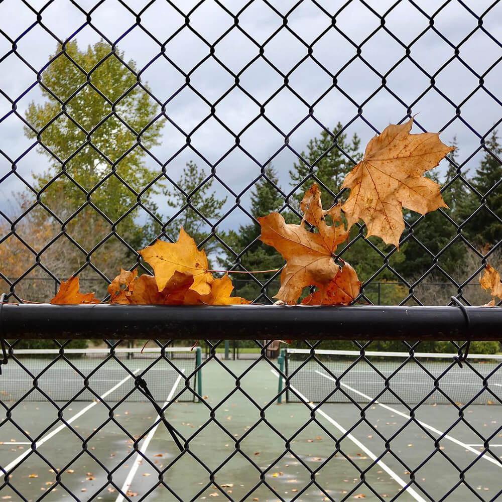 Chain Link Fence - Buy Galvanized Chain Link Fence, Cyclone Wire ...