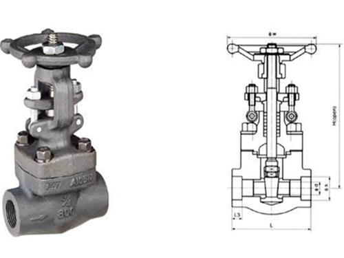 Can Globe Valves and Gate Valves Be Used Interchangeably? - Didtek ...